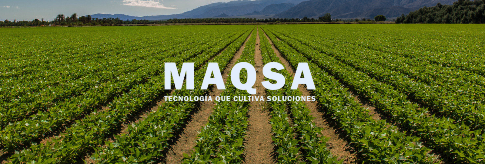 MAQSA